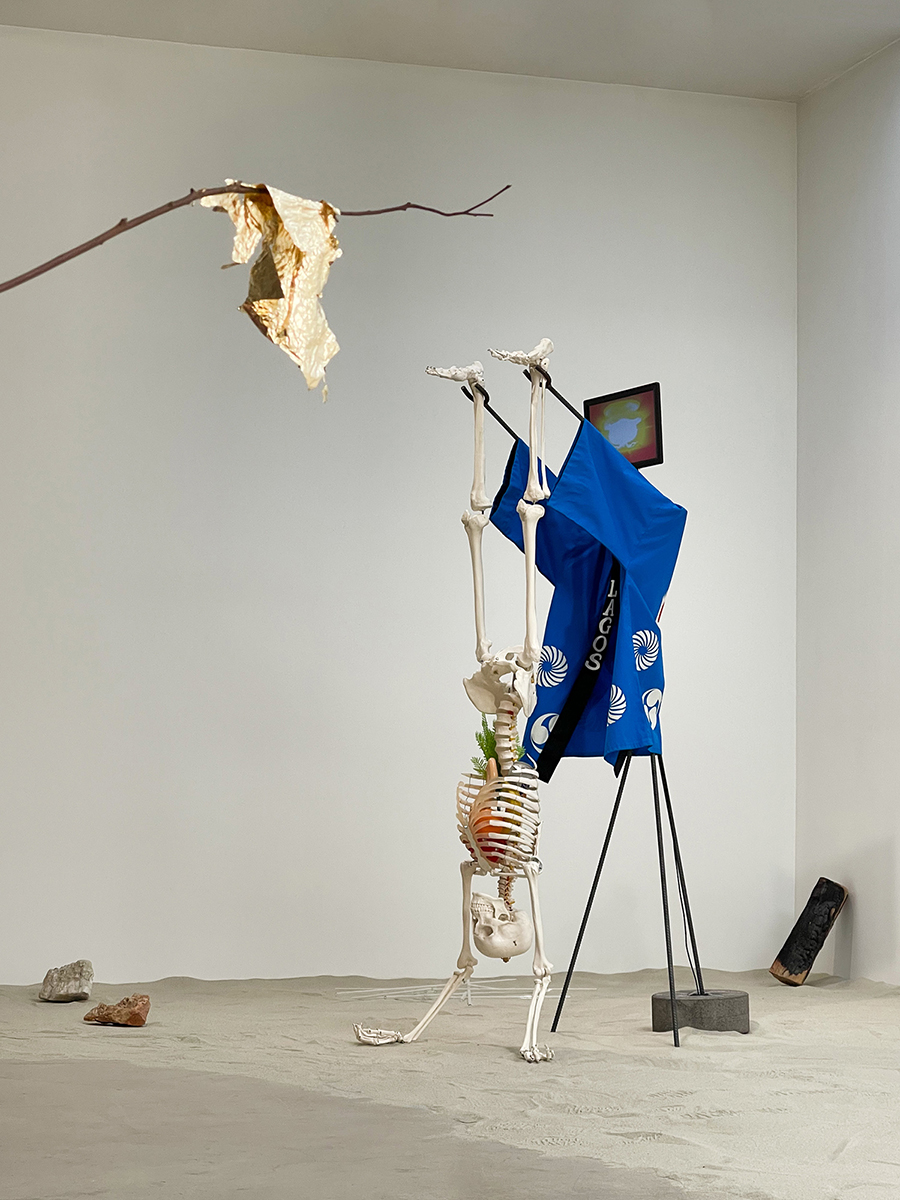 Gabriel Rico - when there were more donkeys than icosahedrons - Tique ...