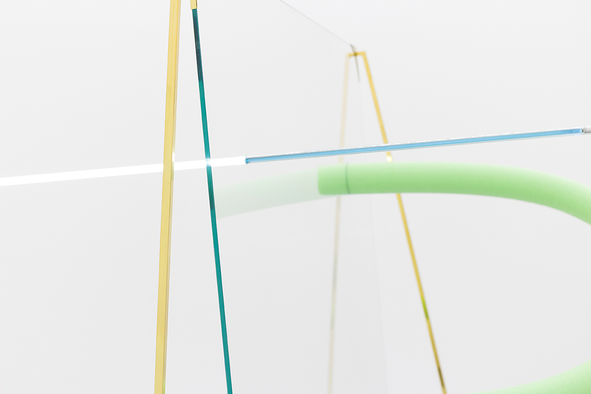 Gabriel Rico - when there were more donkeys than icosahedrons - Tique ...